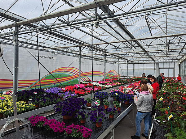 Highlights of PanAmerican Seed Dutch Spring Trials