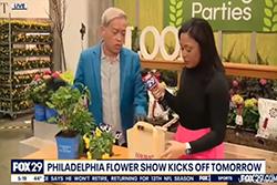 Top Wave™ Pansies at 2025 Philadelphia Flower Show - search highlighted