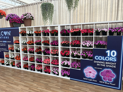 CAST 2025 Recap and Virtual Tour - search highlighted