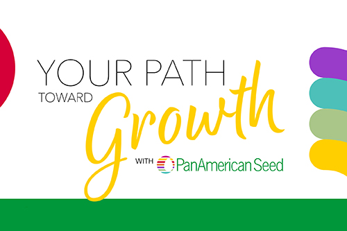 PanAmerican Seed - Global Homepage